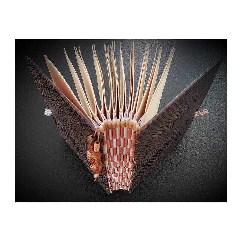 Carnet Piano Reptile