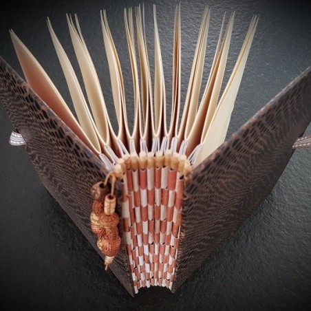 Carnet Piano Reptile