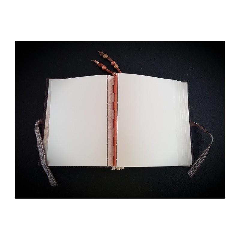 Carnet Piano Reptile